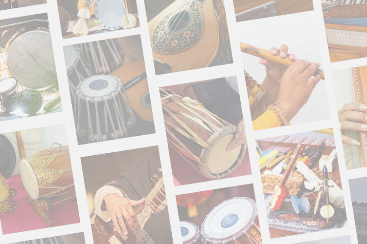 Punjabi Sample Pack | Authentic Punjabi Instrument Loops & Samples