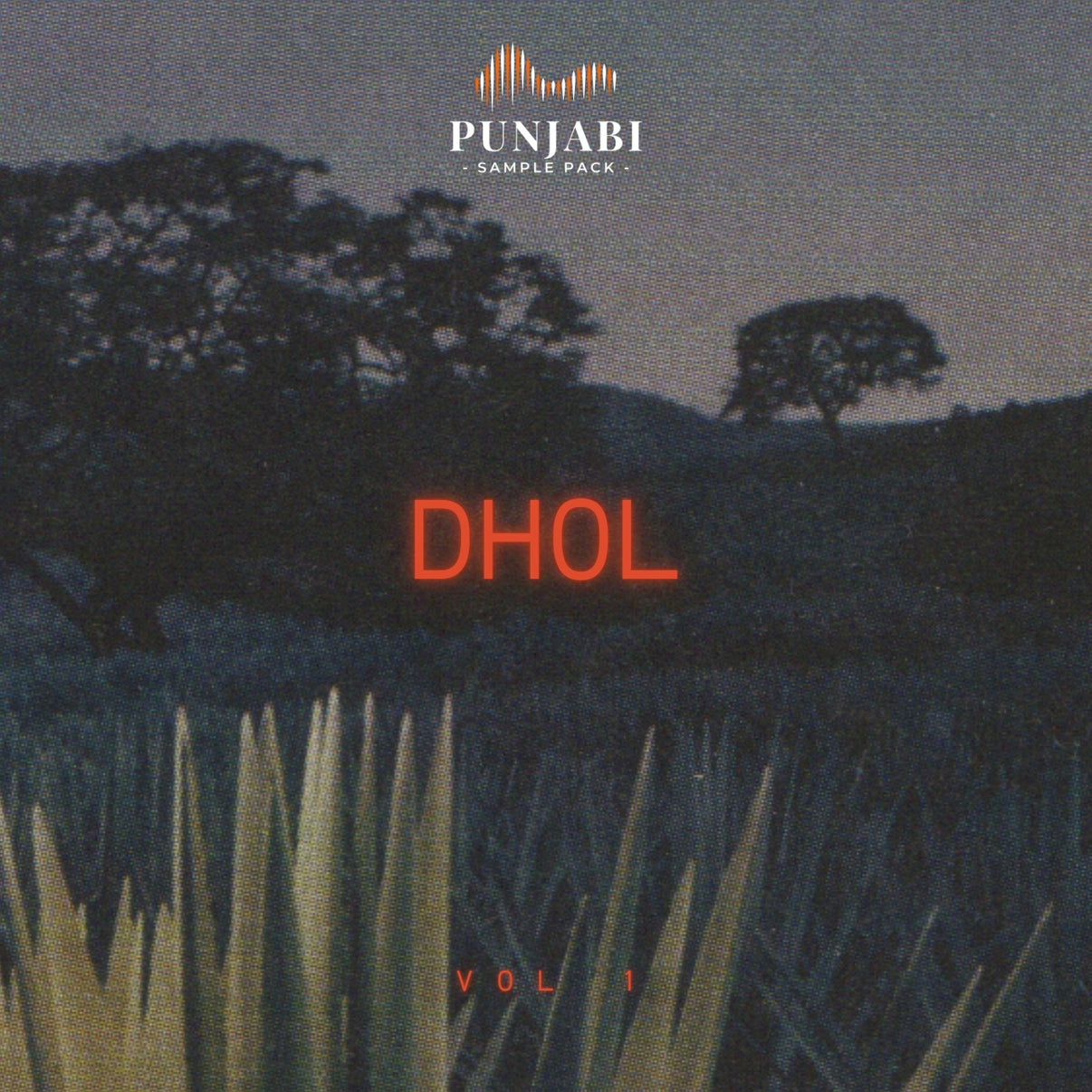 Dhol Loops – Powerful Punjabi Beats – Punjabi Sample Pack