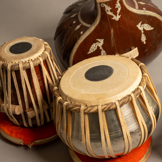 Punjabi Sample Pack | Authentic Punjabi Instrument Loops & Samples