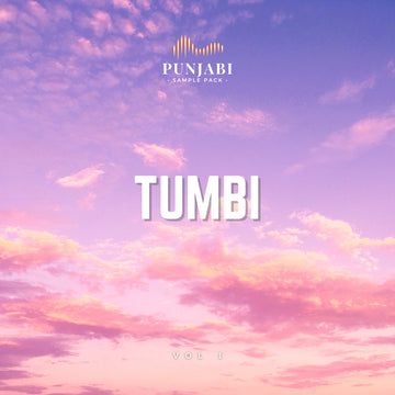 Punjabi Sample Pack | Authentic Punjabi Instrument Loops & Samples