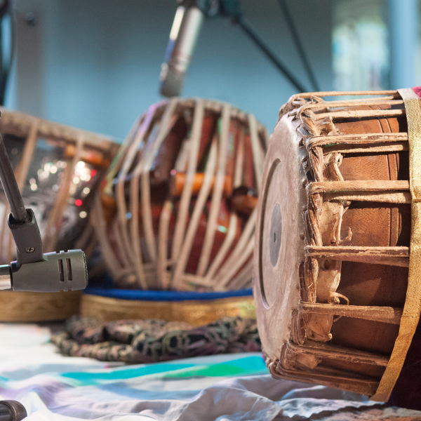 Punjabi Sample Pack | Authentic Punjabi Instrument Loops & Samples